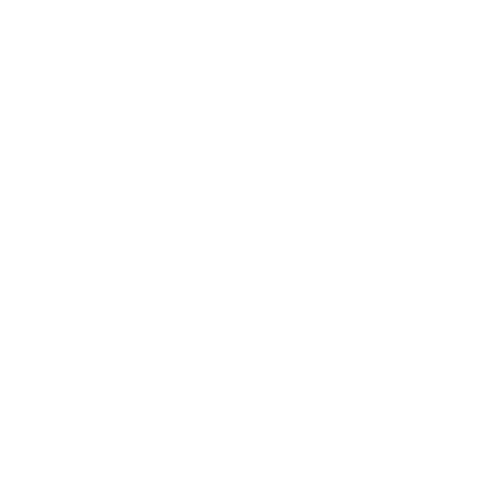 flexPATH Strategies | 3(38) Services