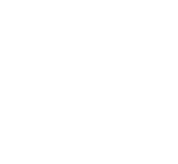 flexPATH Strategies | About Us