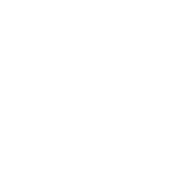 flexPATH Strategies | About Us