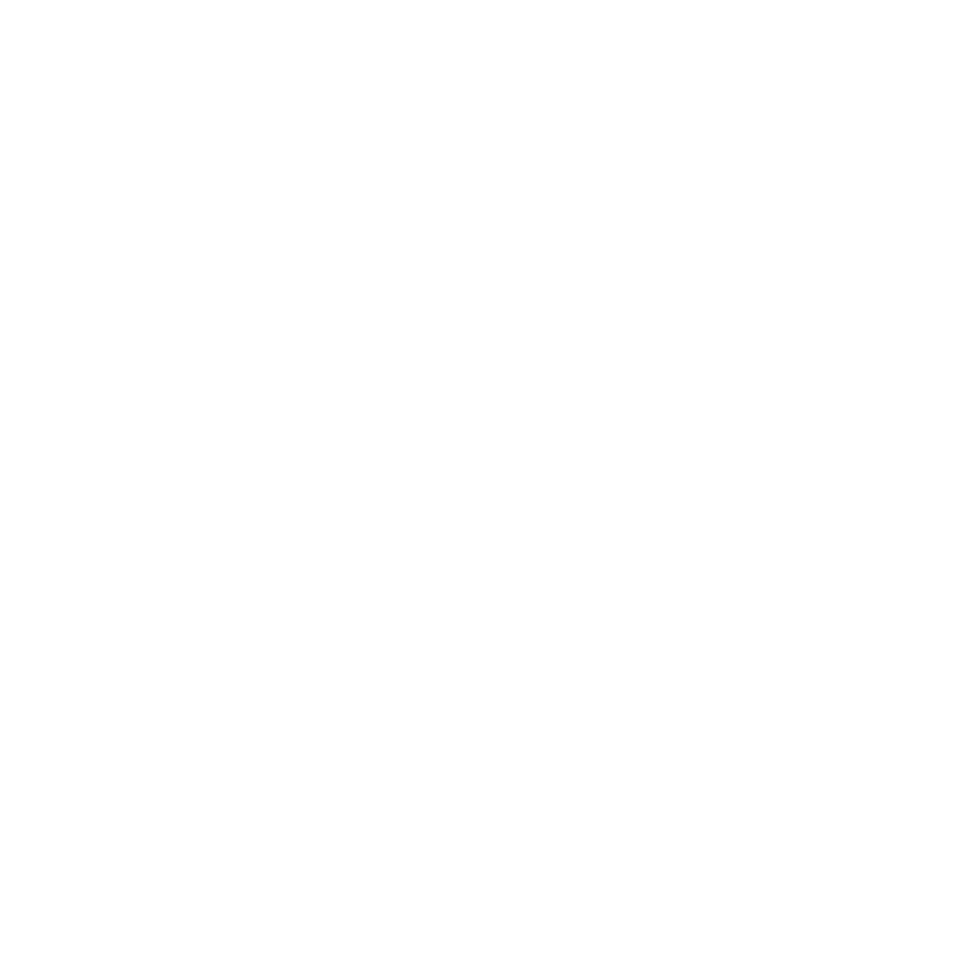 flexPATH Strategies | About Us