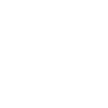 flexPATH Strategies | About Us