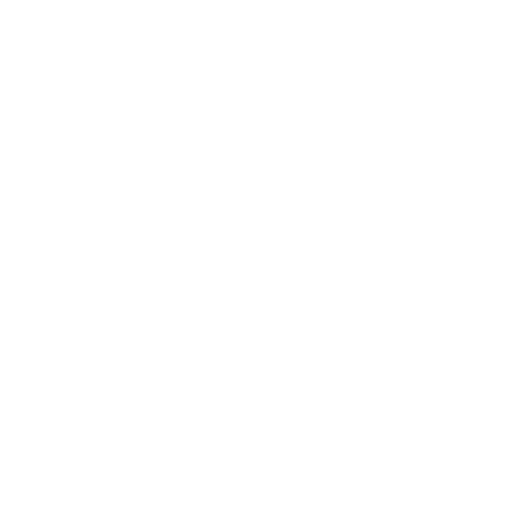 flexPATH Strategies | About Us